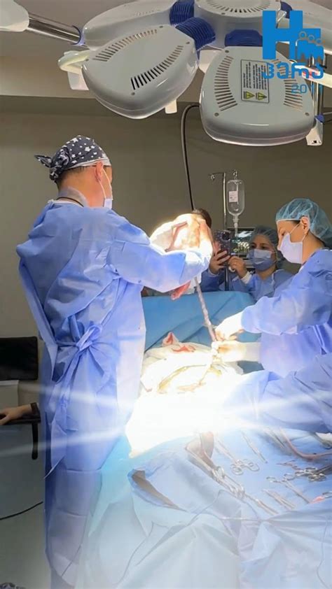 6 8k Views · 207 Reactions 🔹 სოსო გელოვანი ოპერატორი მეან გინეკოლოგი… Hera 2011