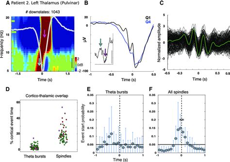 Thalamic Theta During Nrem Sleep A Example Time Frequency Download Scientific Diagram