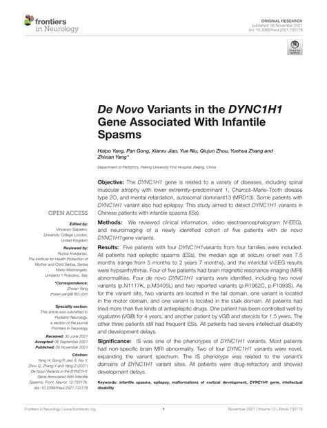 Pdf De Novo Variants In The Dync1h1 Gene Associated With Infantile Spasms