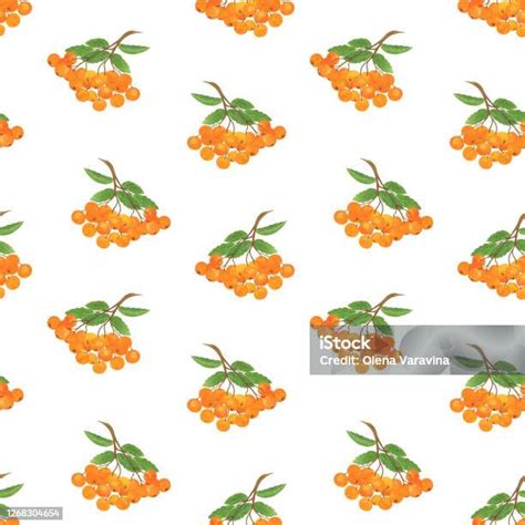 로완 또는 산재 나무 열매 잎과 가지 화환 화환 원활 한 계절 가을 꽃 일러스트 추수 감사절 디자인의 반복 패턴 0명에 대한 스톡 벡터 아트 및 기타 이미지 Istock