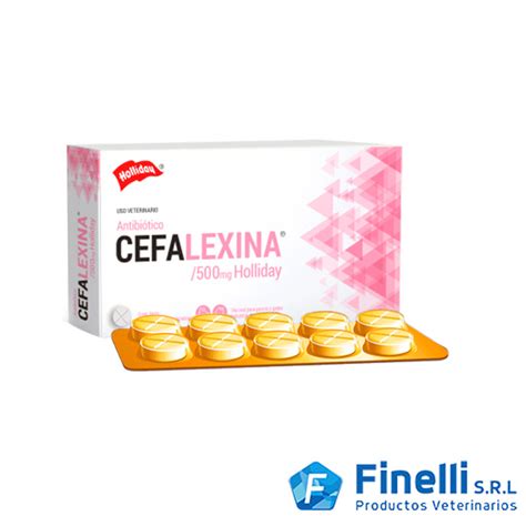 Cefalexina Holliday 500 Mg Bl X 10 Comp Finelli