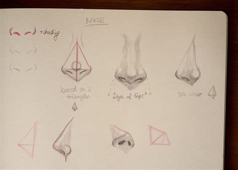 These Are Some Tips For Drawing The Nose The Triangles Help Constructing The Shading Comes
