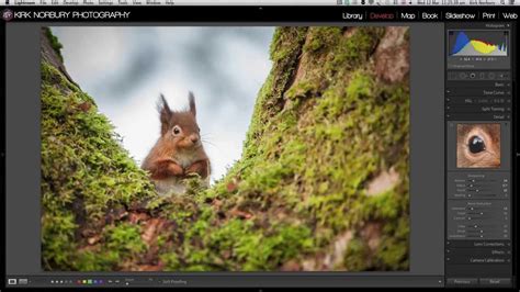 lightroom 5 photo tutorial sharpening and noise reduction tutorial youtube