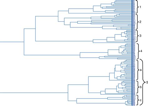 1 dendrogram of 110 early provitamin a maize inbred lines based on