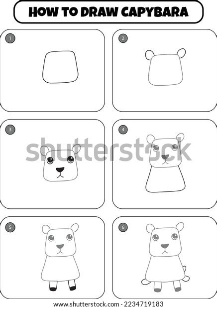 How Draw Capybara Step By Step Stock Vector Royalty Free Shutterstock