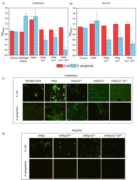 Bacterial Growth Escherichia Coli Atcc 35218 And Pseudomonas Download Scientific Diagram