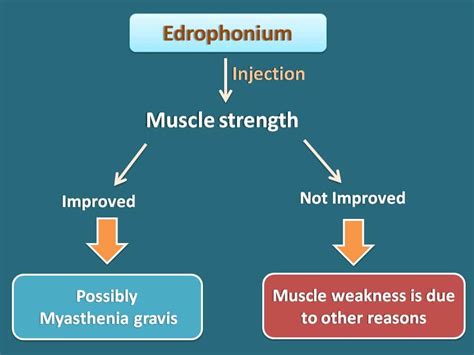 Tensilon Test For Diagnosis Of Myasthenia Gravis Tensilon Test For Diagnosis Of Myasthenia Gravis