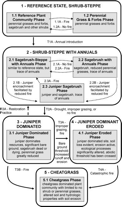 Example State And Transition Model Stm Showing Fundamental Components