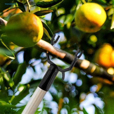 Thatsakes Tree Stand For Branches Adjustable Branch Support Pcs Metal Fruit Tree Branch