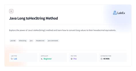 Dominando O Método Tohexstring Do Java Labex
