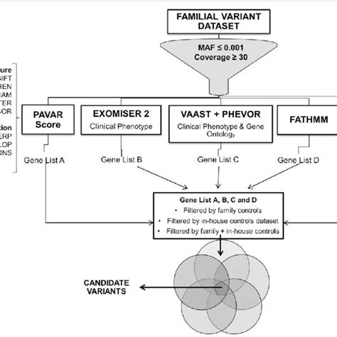 Design Of The Study Pipeline Overview Of The Methods To Filter And Download Scientific