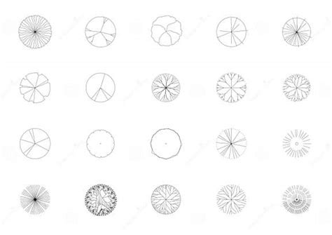 Tree Plan Plant Landscape Architecture Nature Park Garden Collection