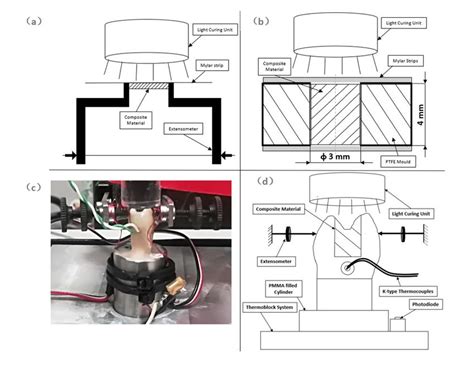 Simultaneous Time Measurements Of Cuspal Distance Variation Download Scientific Diagram