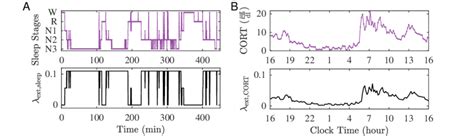 Modelling External Perturbations Informed By Data The External