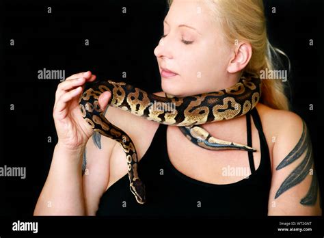 Portrait Of Girl With Royal Python Snake Woman Holds Ball Python Snake Around Neck And In Hands