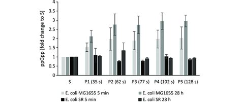 Alarmone Accumulation Along The Pfr Concentration Of Ppgpp Measured Download Scientific