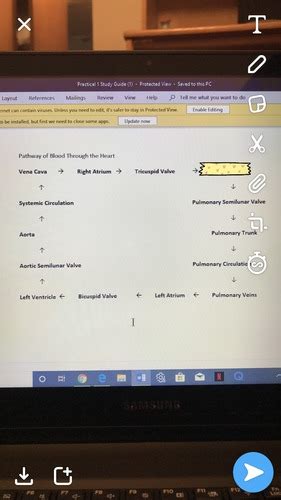 Circuit Flashcards Quizlet