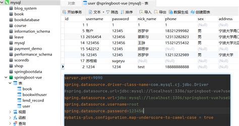 无法登录 Issue shenxiancaiCCC Vue Springboot Library GitHub