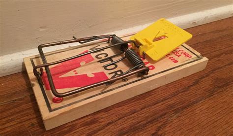 Best Rat Traps That Work How To Set Bait And Use These Rodent Killers