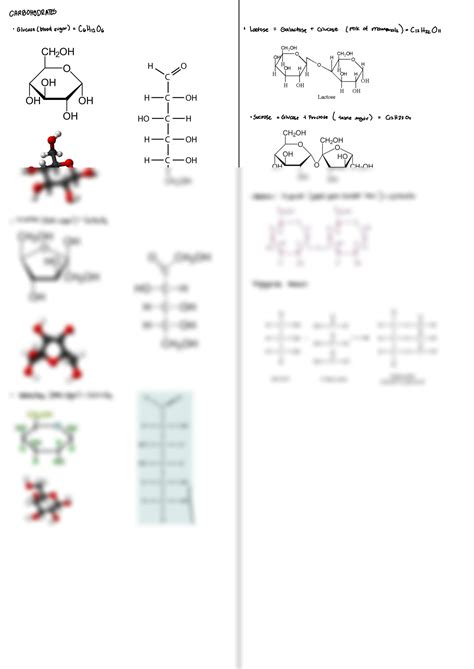 SOLUTION Carbohydrate Structures Reviewer Studypool
