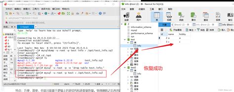 Mysql的备份恢复 Csdn博客