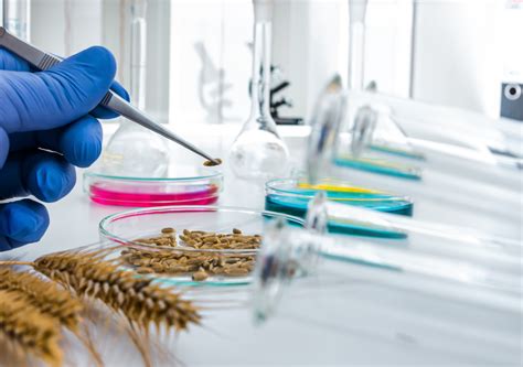 The Benefits Of Using Infrared Spectroscopy For Food Quality Analysis