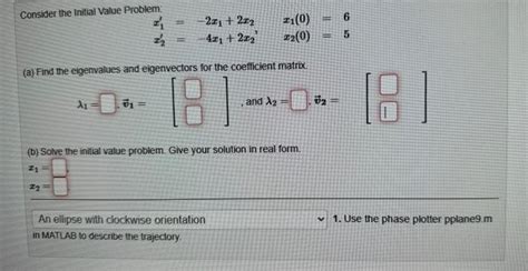 consider the initial value problem