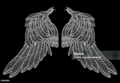 날개 쌍 세트 손으로 상세한 새 날개를 그려 카드 포스터 T셔츠 스마트 전화 Cd 인쇄 디자인 벡터입니다 개념에 대한 스톡 벡터