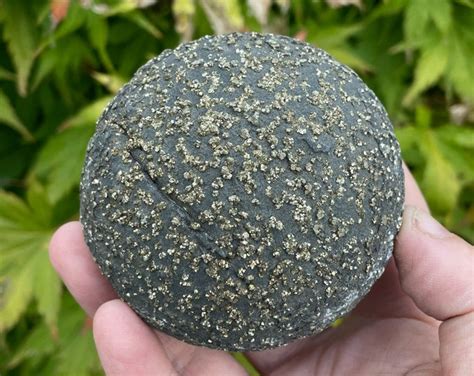 Pyrite Nodule Specimen Etsy