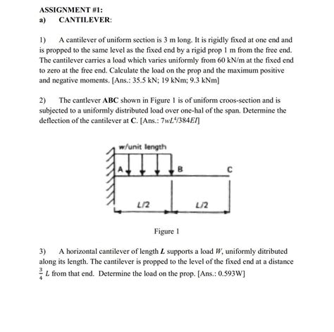 solved bsc213 ay 2021 2022 s2 assignment 2 attempt all