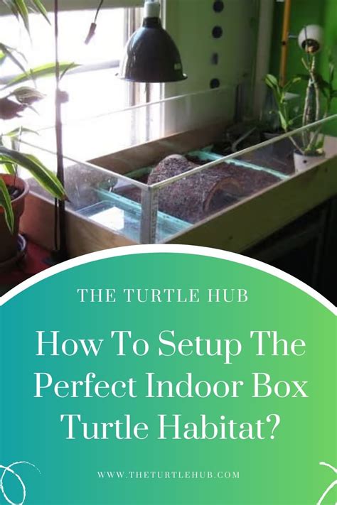 How To Setup The Perfect Indoor Box Turtle Habitat Turtle Housing