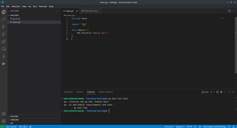 Getting Started With The Go Programming Language Golang Using Vs Code Gigi Labs