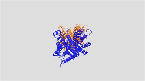 Alpha Tubulin Beta Tubulin Heterodimer 3d Model By Drsmashy [9232e66