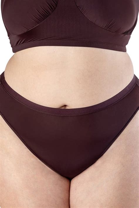 Elita Womens Plus Microfiber High Cut Leg Full Panty El6142
