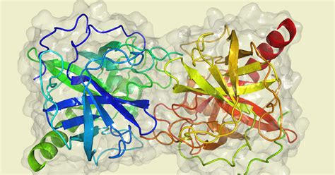 Chemical Quantum Images Chymotrypsin
