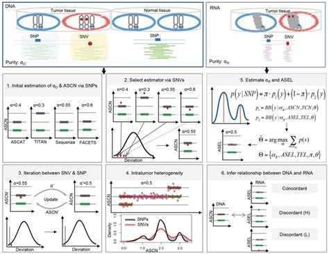 Illustration Of Texomer Deconvolution Steps Texomer Iteratively