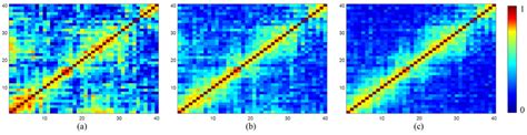 Coherence Matrix Estimation With A Window Of 5×5 Pixels A Sample