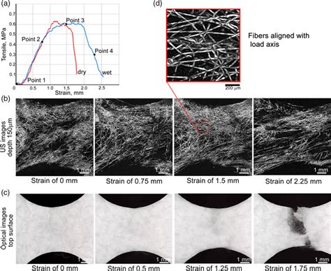 in situ observation of microstructure transformation in ps specimens