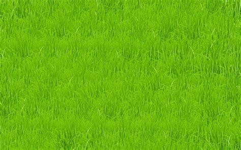 Download Grass Lawn Field Royalty Free Stock Illustration Image Download Grass Lawn Field Royalty Free Stock Illustration Image