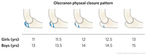 Clinical Practice Guidelines Olecranon Fracture Emergency Department