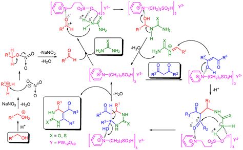 What Is A Cascade Reaction At Wilda Talley Blog