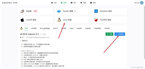 内网穿透实现ssh远程连接ubuntu（sakura frp实现方法 ubuntu内网穿透 ssh csdn博客