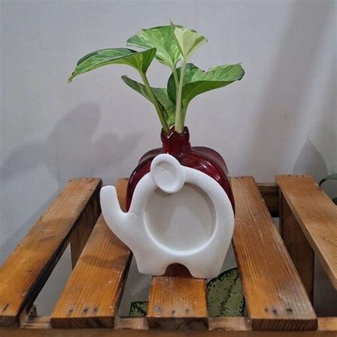 خرید و قیمت بیس خام قاب عکس فیلی مناسب قالب گیری ، مجسمه قاب عکس فیلی