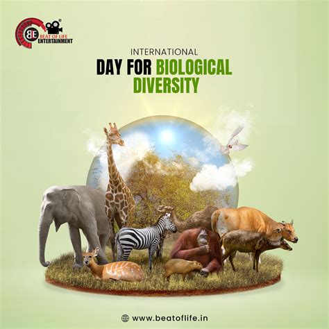 International Day For Biological Diversity 2025 Wishes Beat Of Life