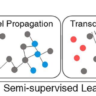 The Process Of Pseudo Labeling Download Scientific Diagram