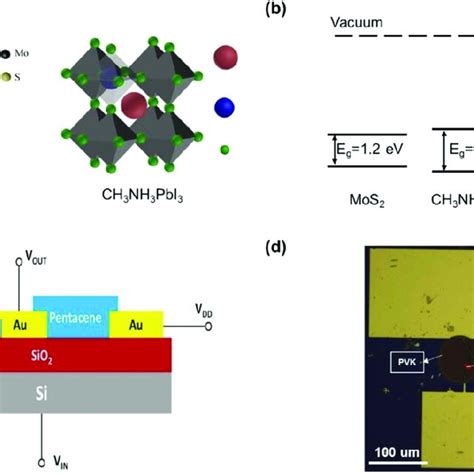 A Molecular Structure Of Mos 2 Pentacene And Pvk B The Energy