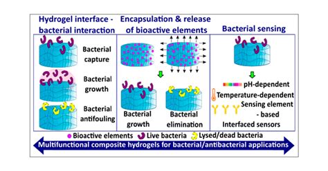 Multifunctional Composite Hydrogels For Bacterial Capture Growthelimination And Sensing