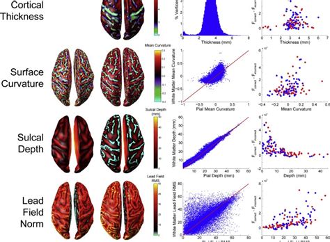 Non Invasive Laminar Inference With Meg Comparison Of Methods And Source Inversion Algorithms