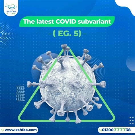 Dr Mohammad Elsheikh On Linkedin Eg5